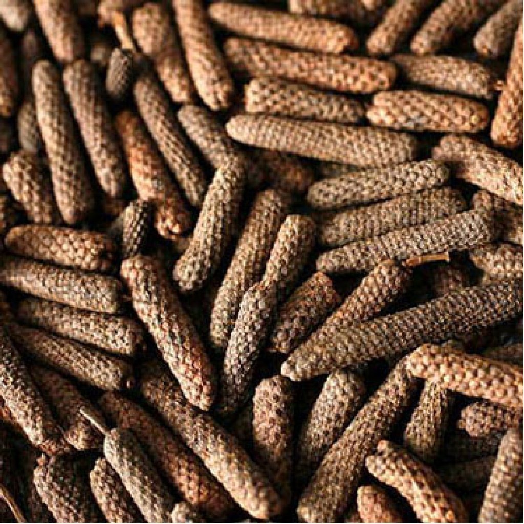 Pepe Lungo | TerzaLuna.com