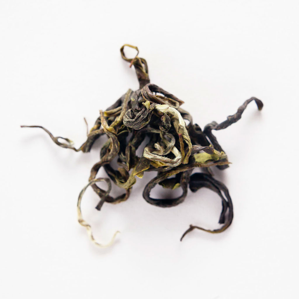 Bi Lo Chun o Pi Lo Chun - Tercera Luna | TerzaLuna.com