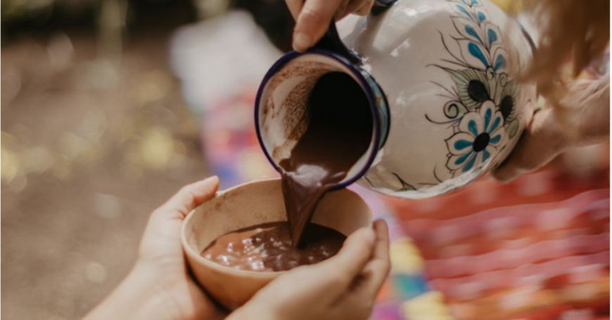 Cacao Criollo : Le Plus Rare et Précieux au Monde