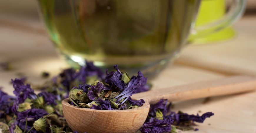 Mallow: Properties, Benefits, and Uses